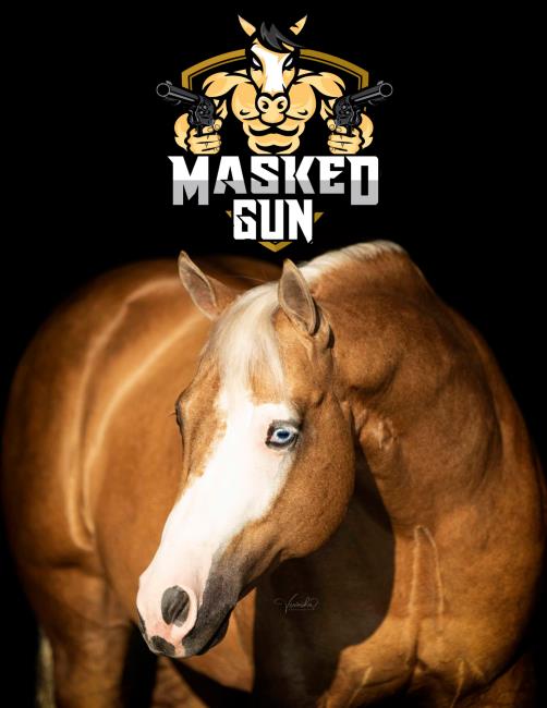 ccefbf52-d0d7-4be3-a237-46ed2ec6032c-stallion_photos-Masked-Gun-Website.png
